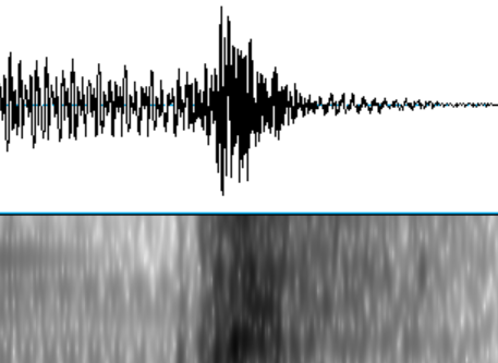 Bilingual speech segmentation | Max Wolpert
